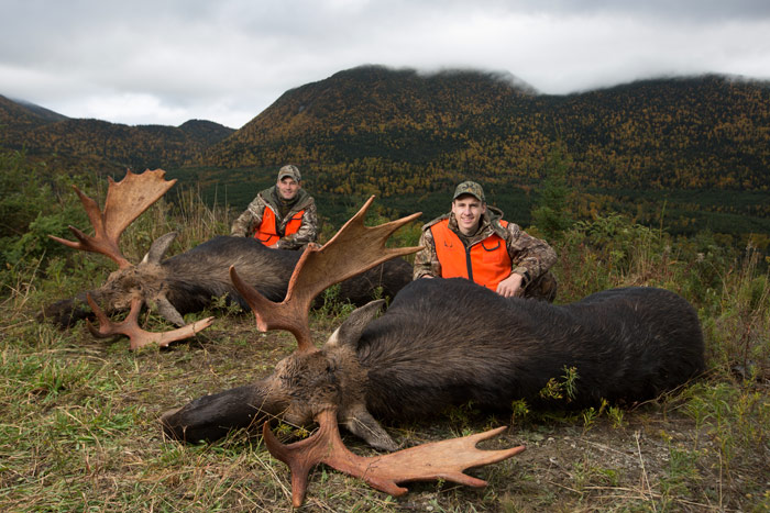 Chasse à l'orignal - Activités - Sépaq