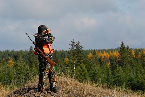 Chasse au cerf de Virginie - Activités - Sépaq