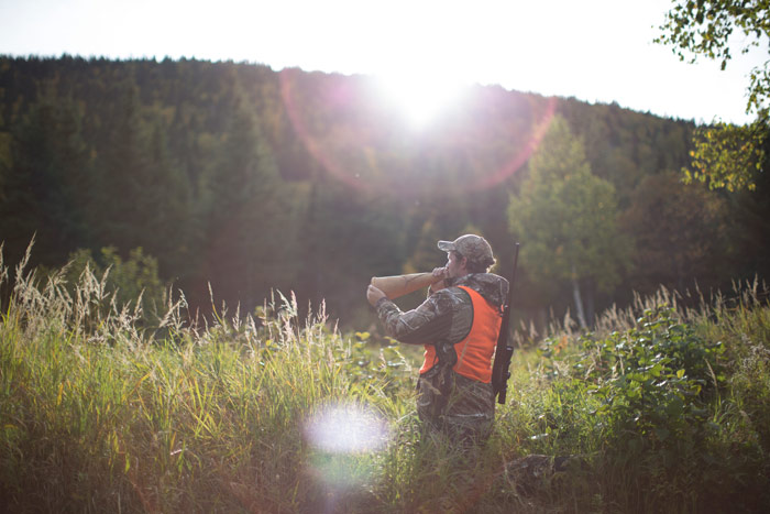 Chasse à l'orignal - Activités - Sépaq